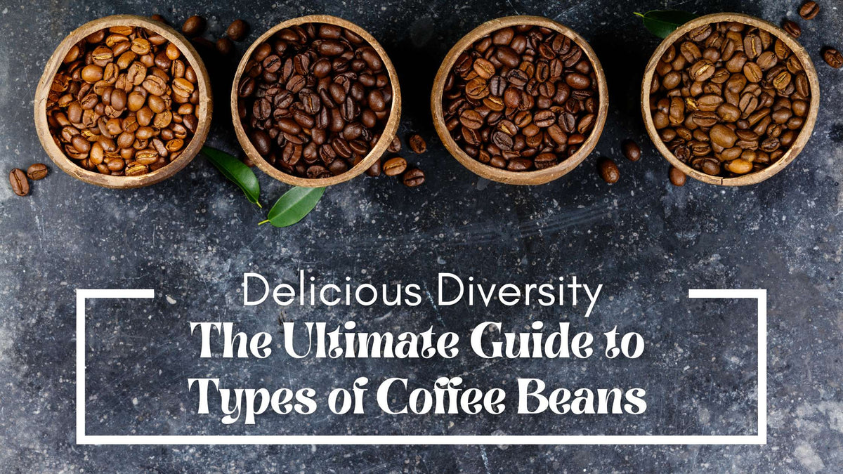 Delicious Diversity: The Ultimate Guide to Types of Coffee Beans ...